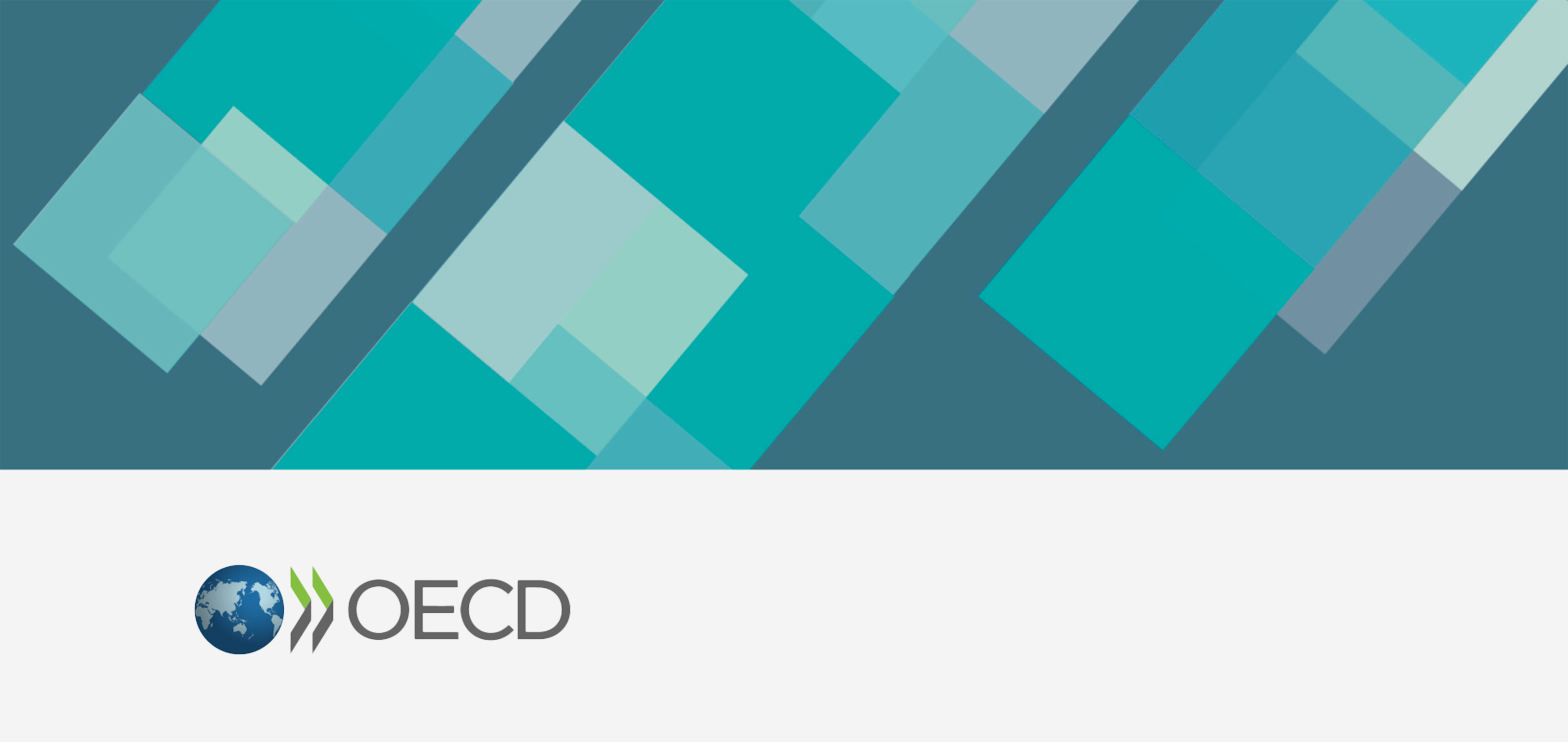 经合组织《跨国企业负责任商业行为准则》2023 年更新版发布 | IFC Beyond the Balance Sheet